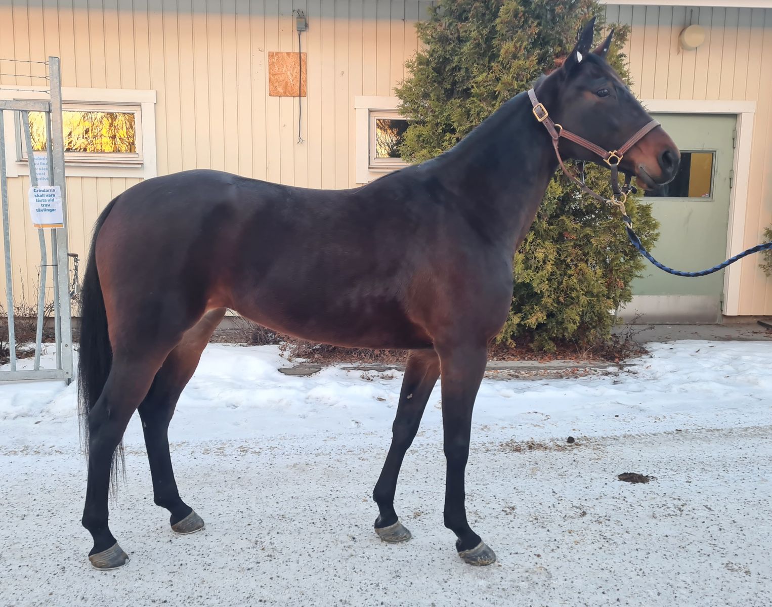 Cloudless Osåfin – Travera.nu