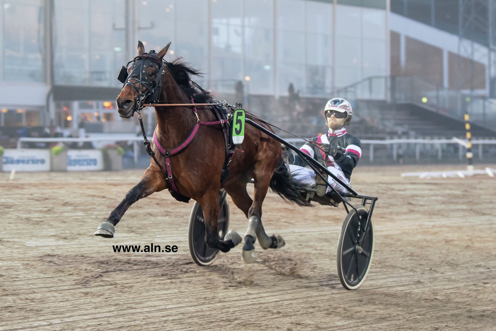 Akilles Face – Travera.nu