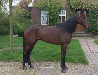 Elmo's Fire* (DE) – Travera.nu