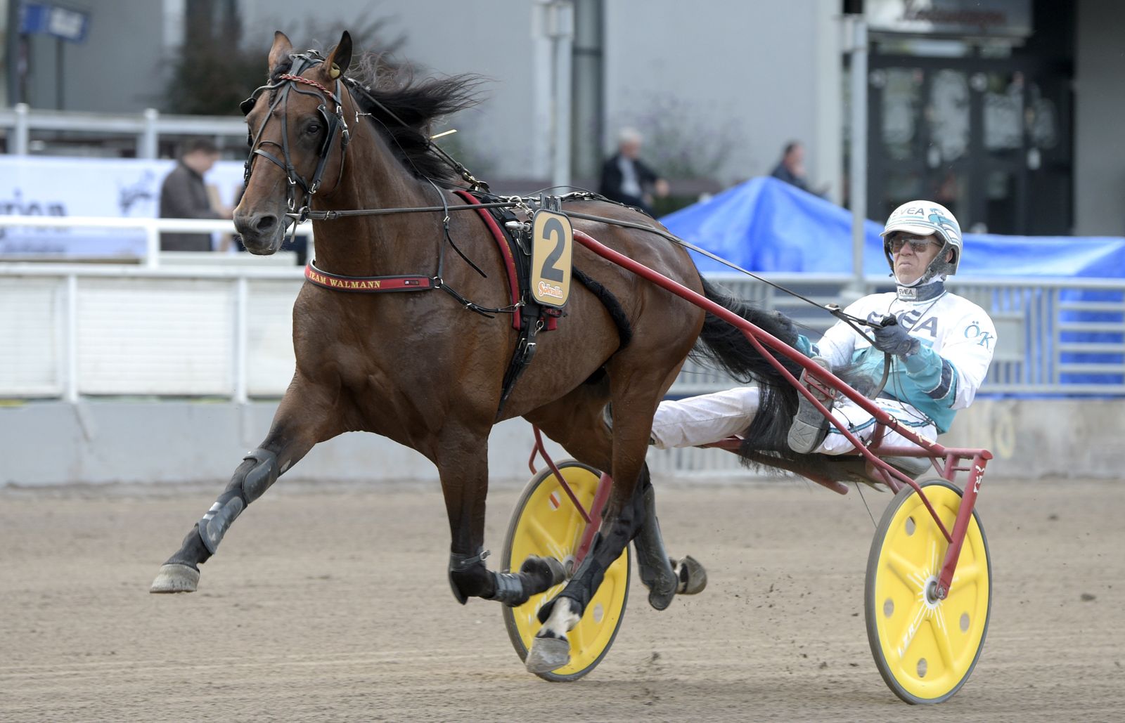 Brightside se – SRF 19 november 2023 – Partnerauktion – Travera.nu