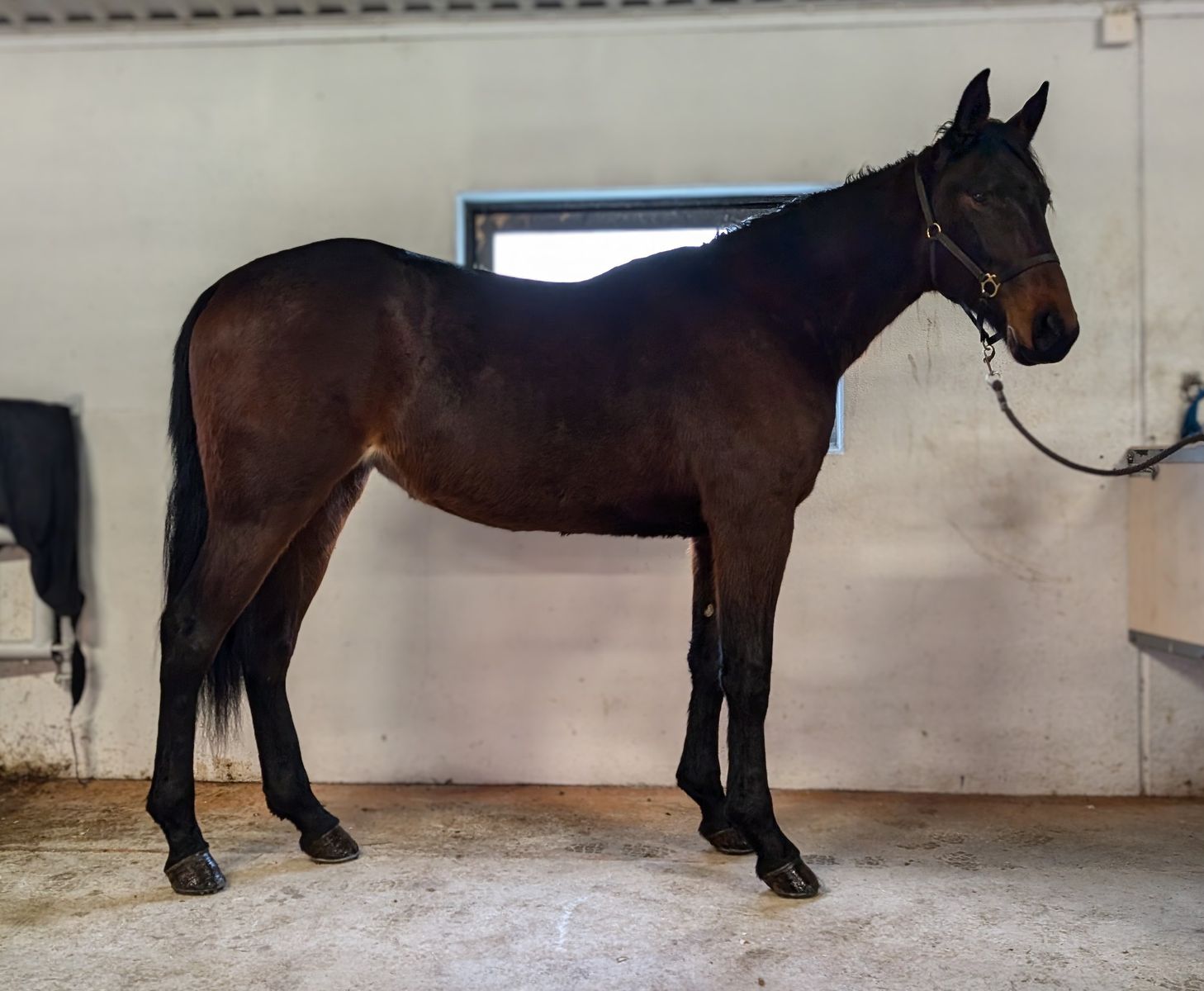 Carmen Garde – Travera.nu