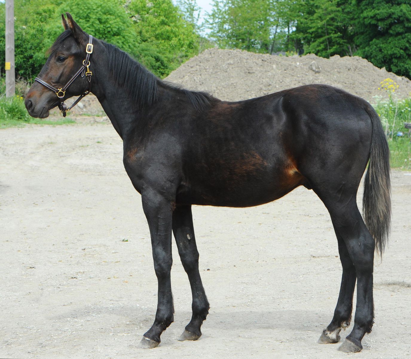 Check Out – Travera.nu