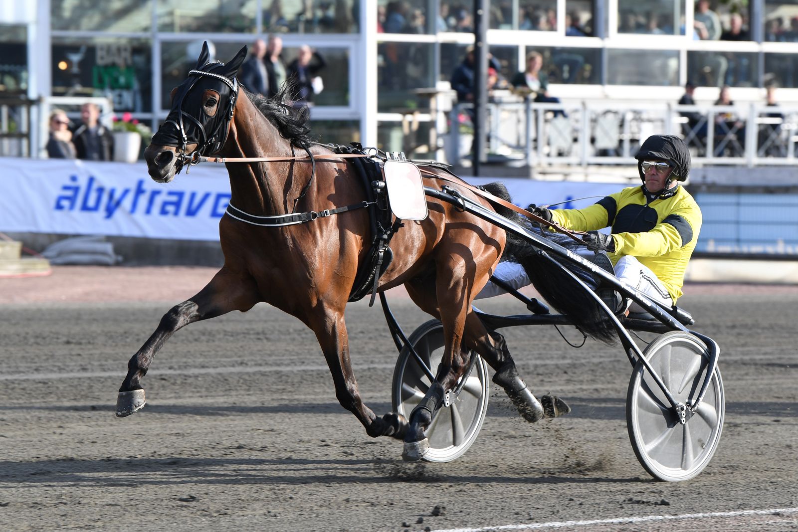 Elton H.B. – Travera.nu