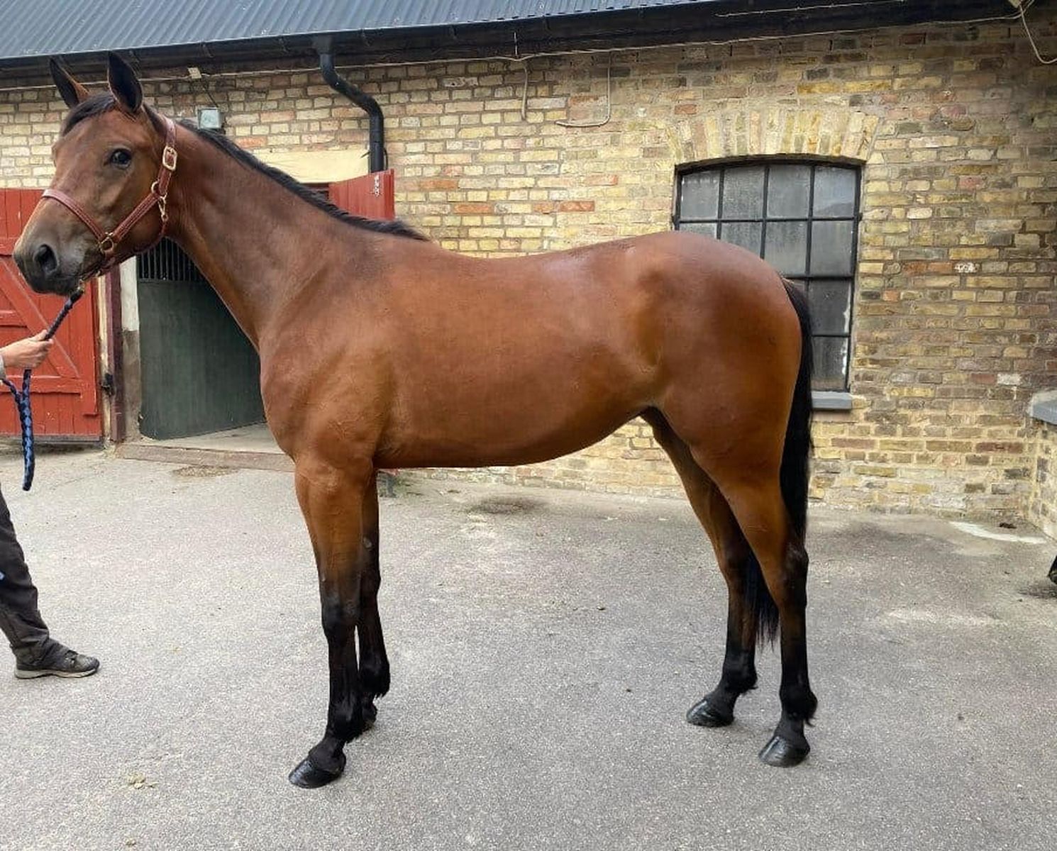 Epiphany Face – Travera.nu