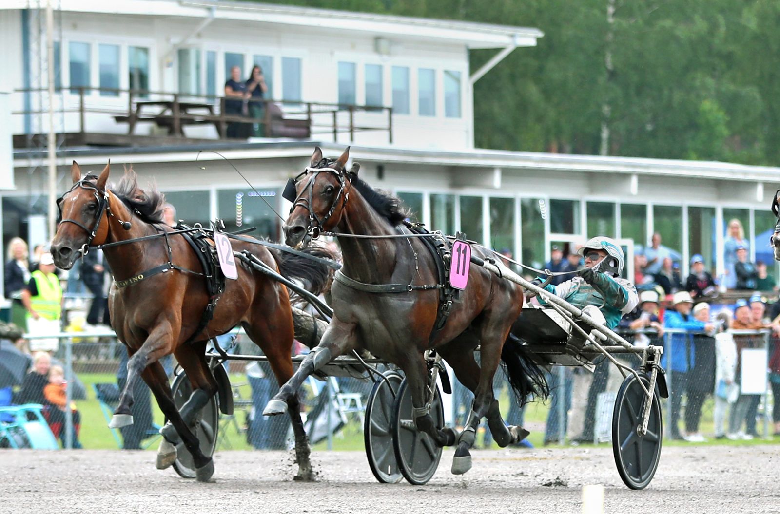 Fat Rabbit – Travera.nu