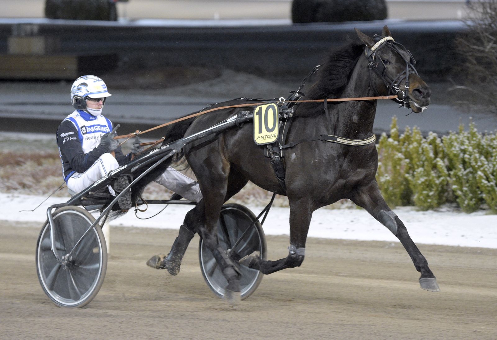 For Real – Travera.nu