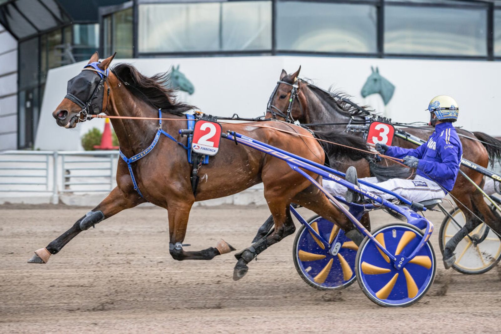 Generator – Travera.nu