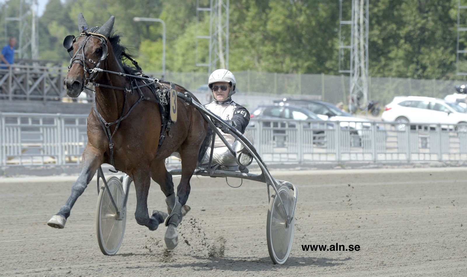 Global Billboard – Travera.nu