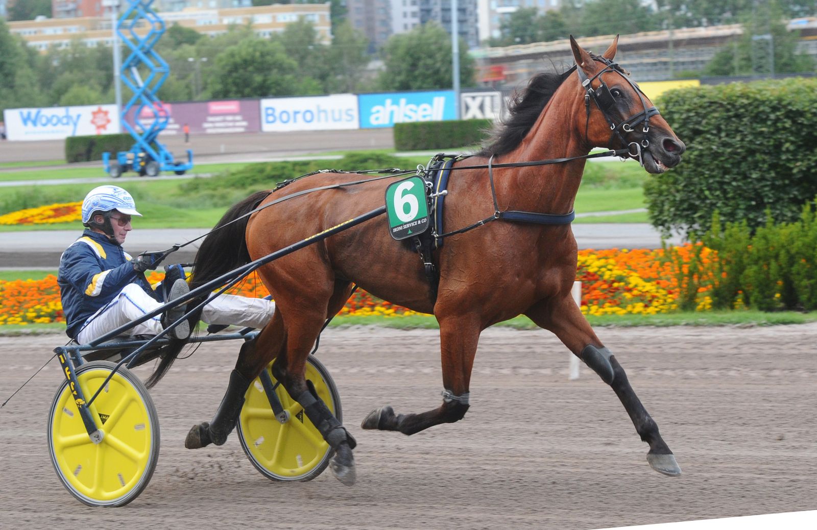 Golden Cresent – Travera.nu
