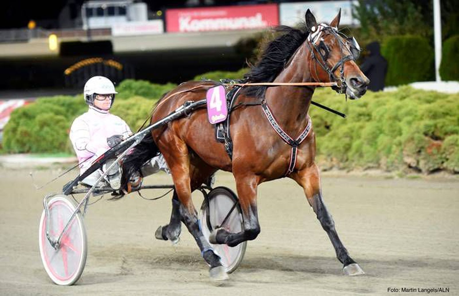 Winning Symbol (US) + stoföl e Traders – Travera.nu