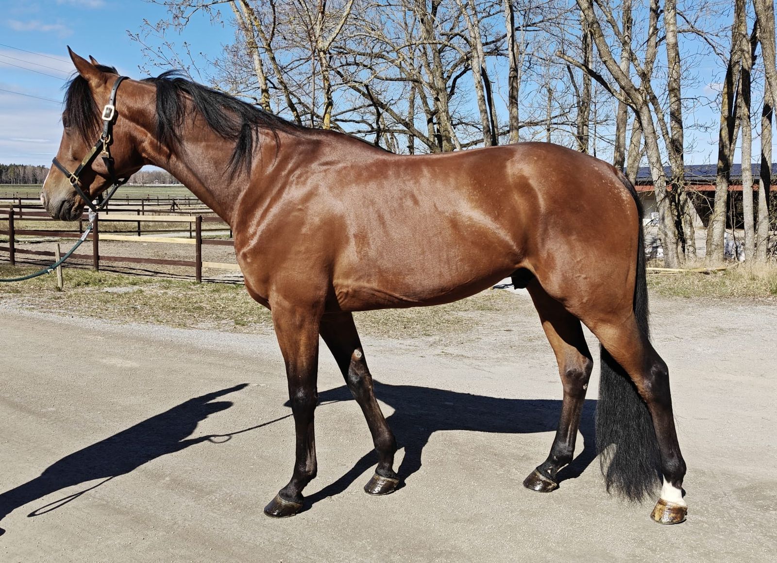 Eagle Rock – Travera.nu