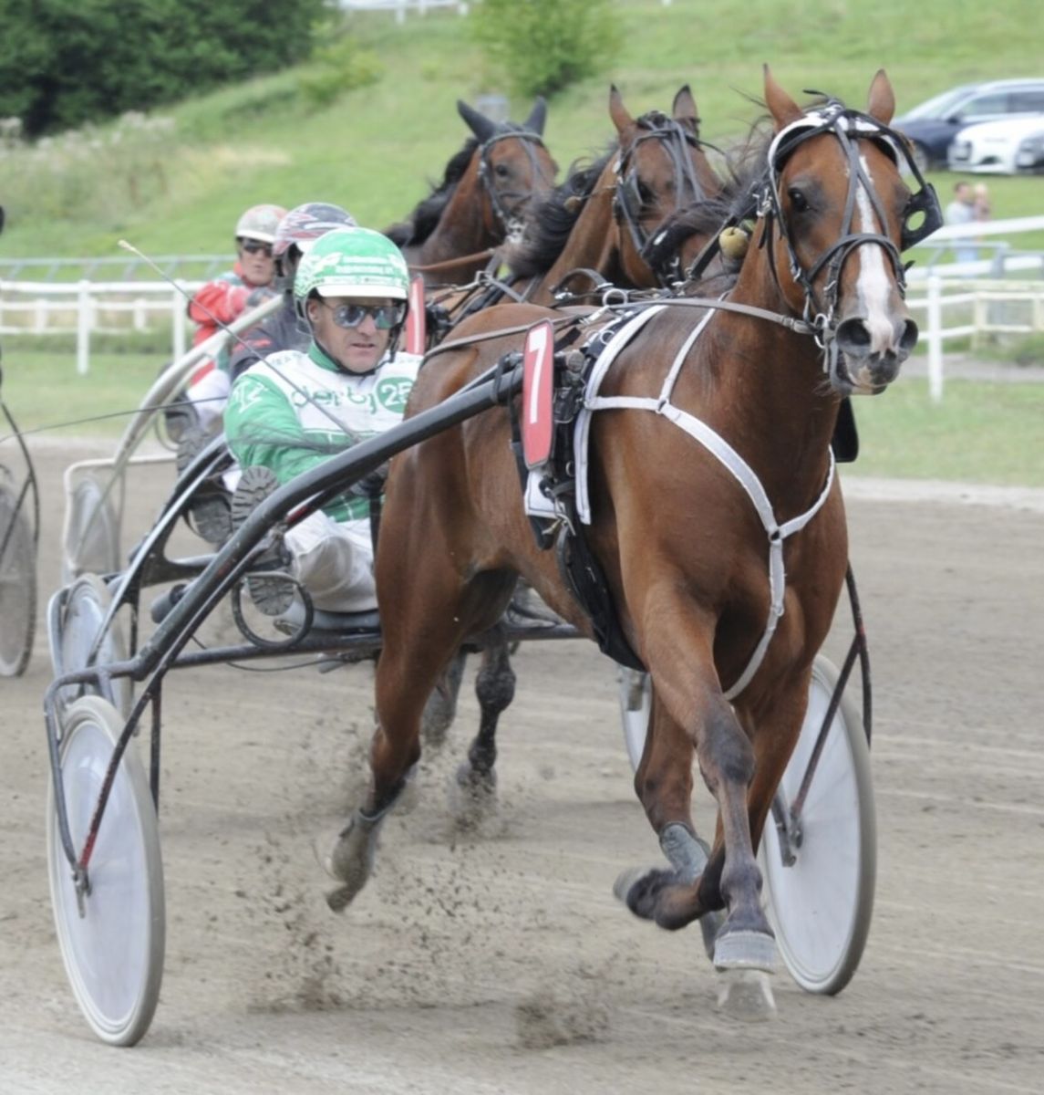 Giant Design* (DK) – Travera.nu