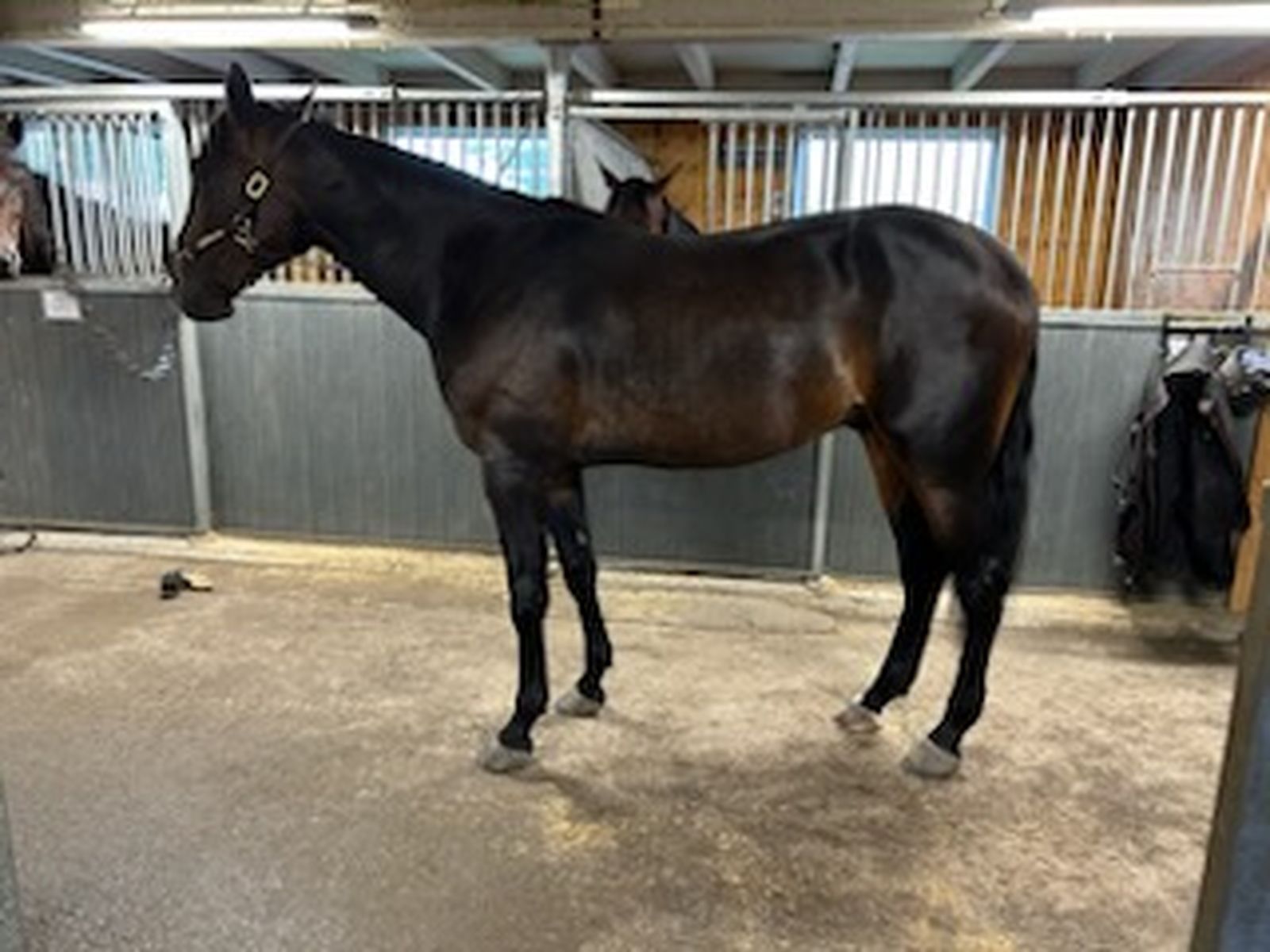 Global Enjoyment – Travera.nu