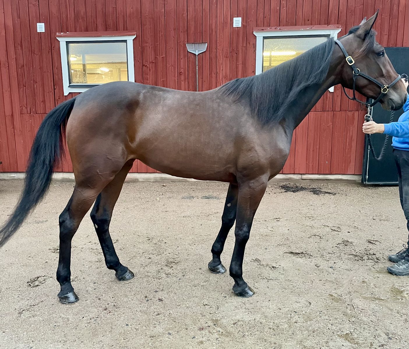 First Dimension – Travera.nu