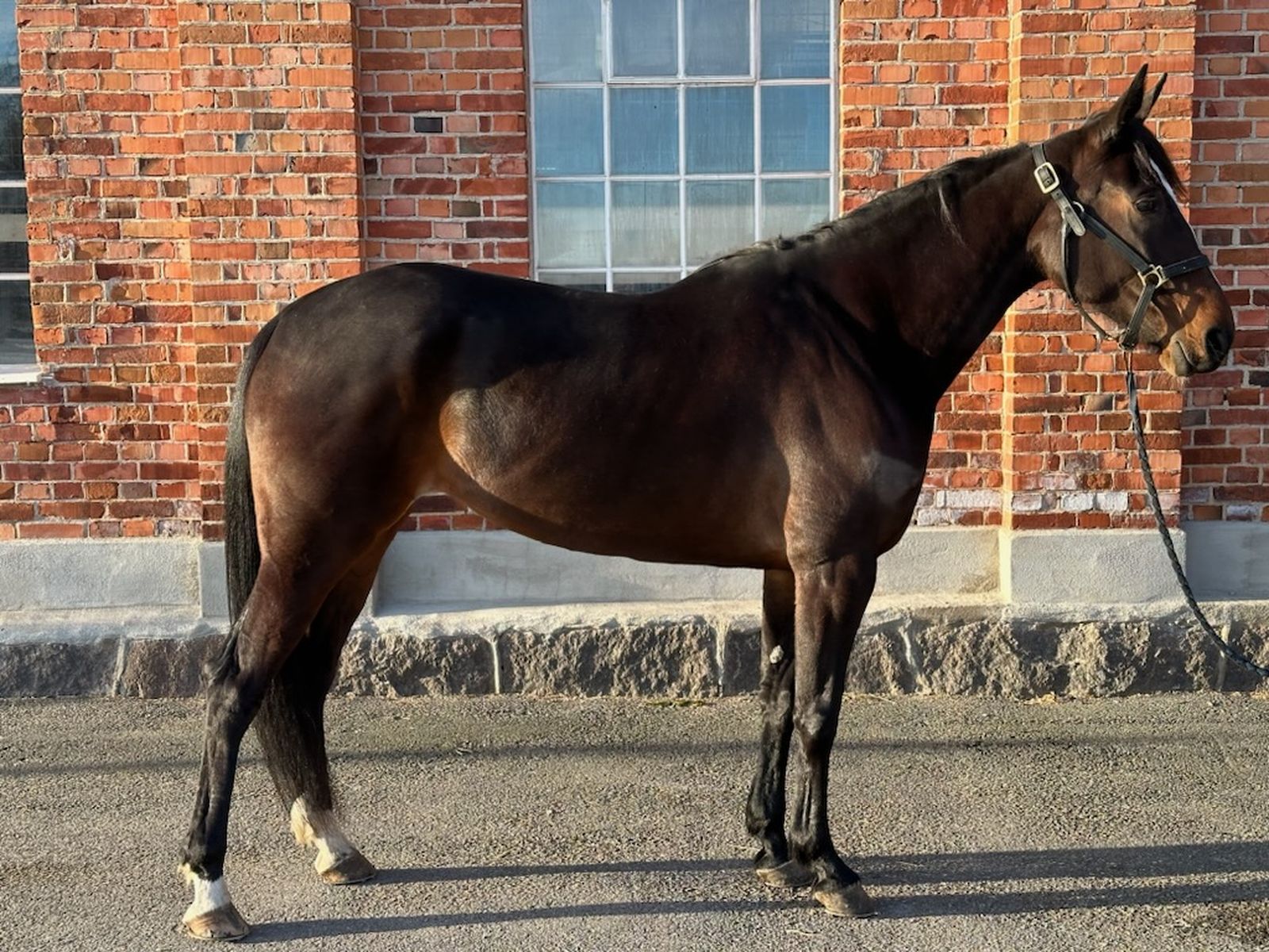 Sandy at the Beach – Travera.nu