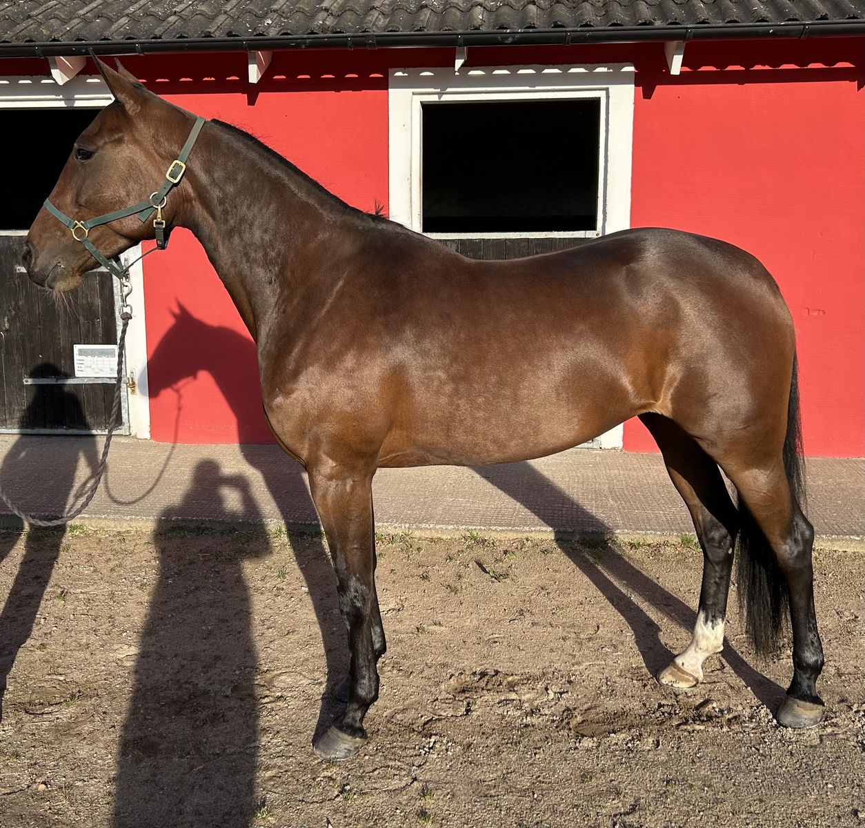 Miking – Travera.nu