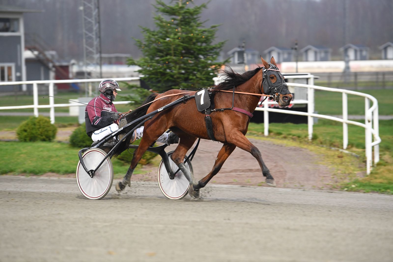 Javelle – Travera.nu