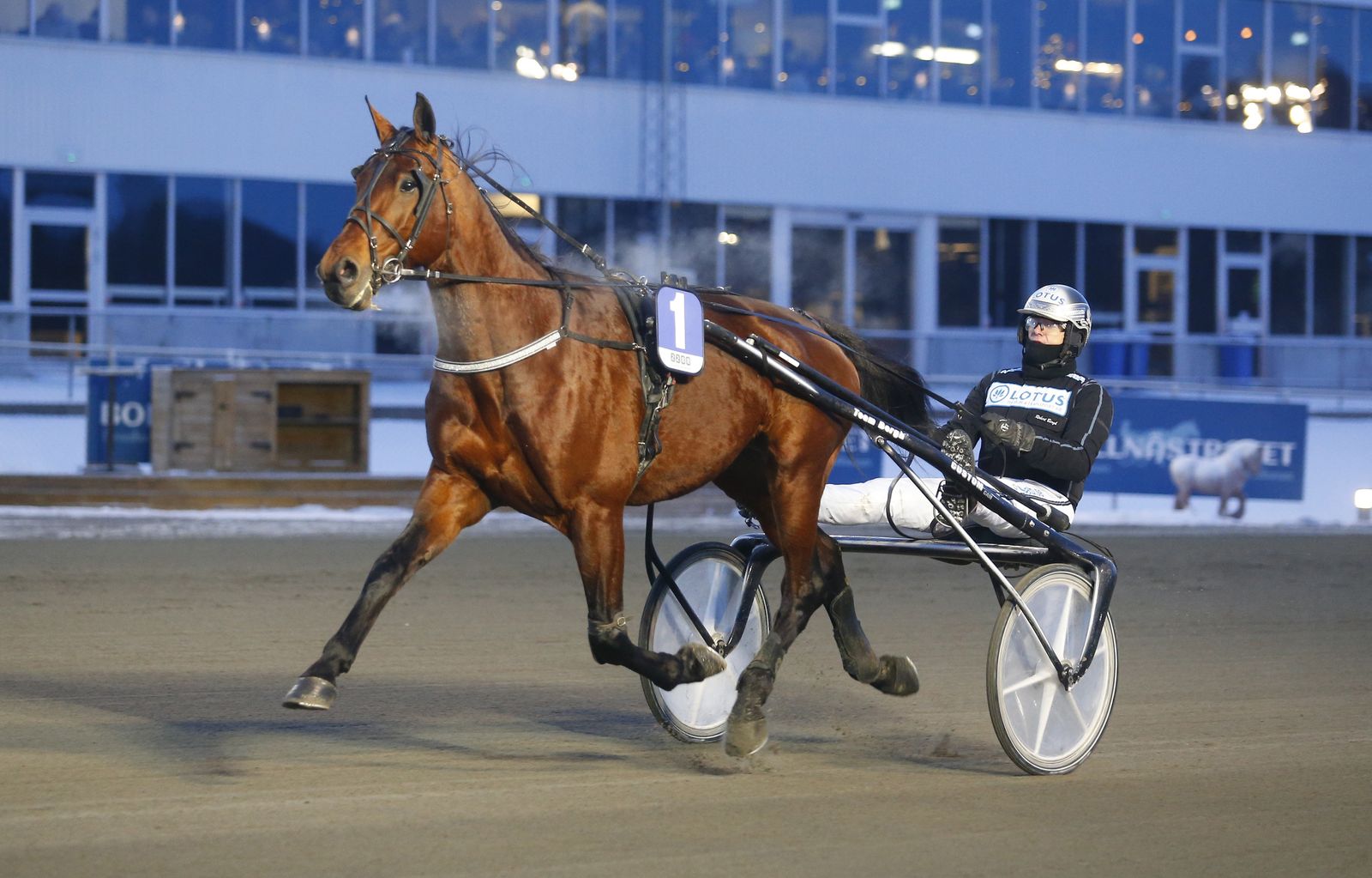 Jula Trix Treasure (US) – Travera.nu