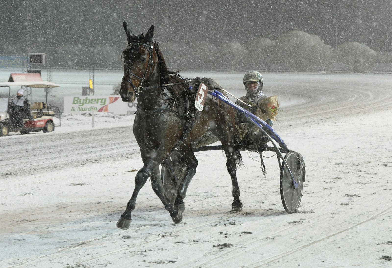 Kentucky Sisu – Travera.nu