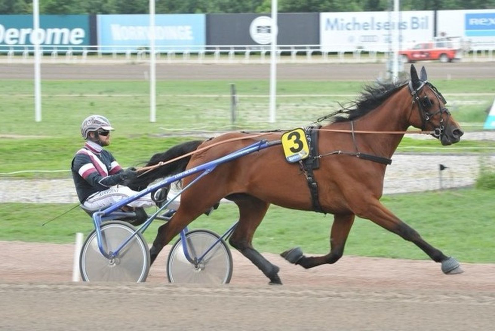 Legal Eagle – Travera.nu