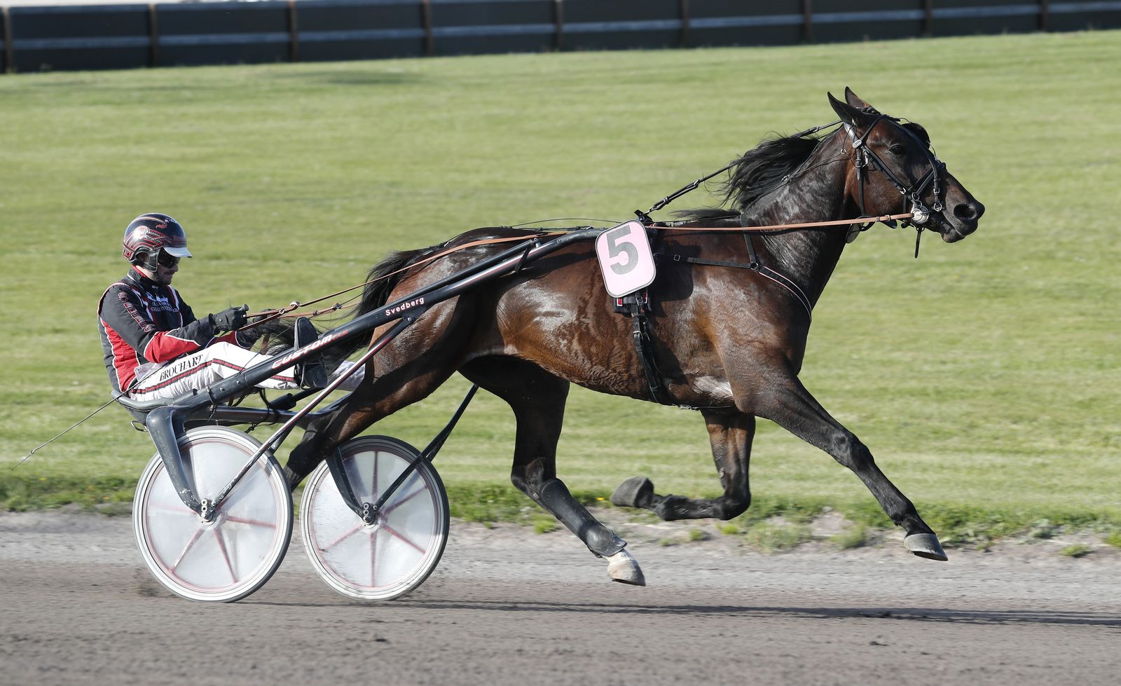 M.T.Rick Nash – Travera.nu