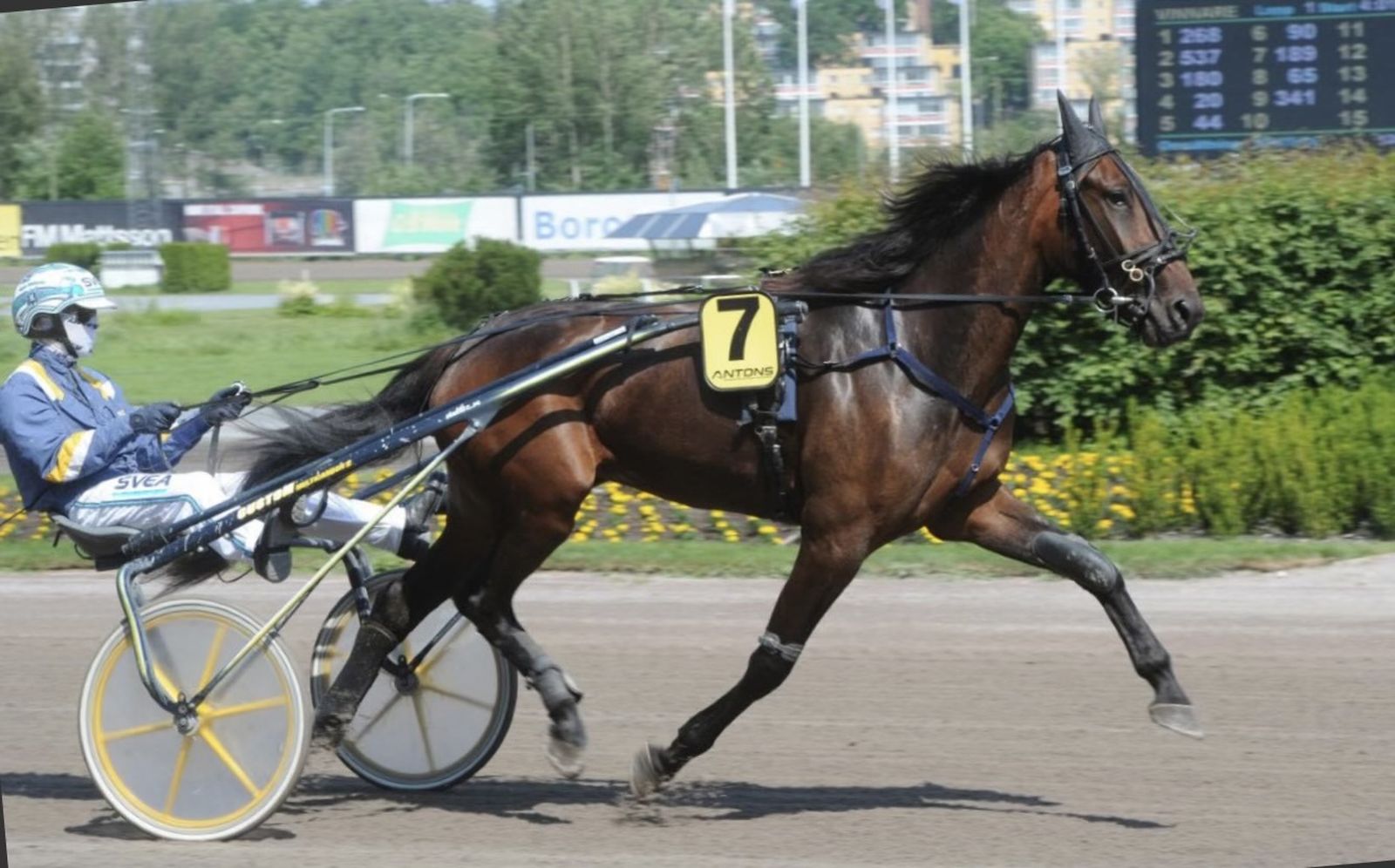 Mandatory – Travera.nu