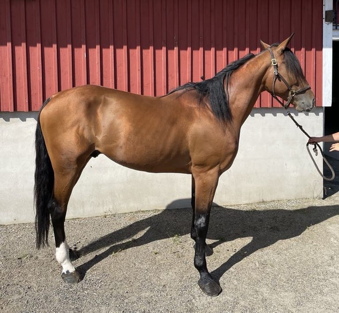 Magic River – Travera.nu