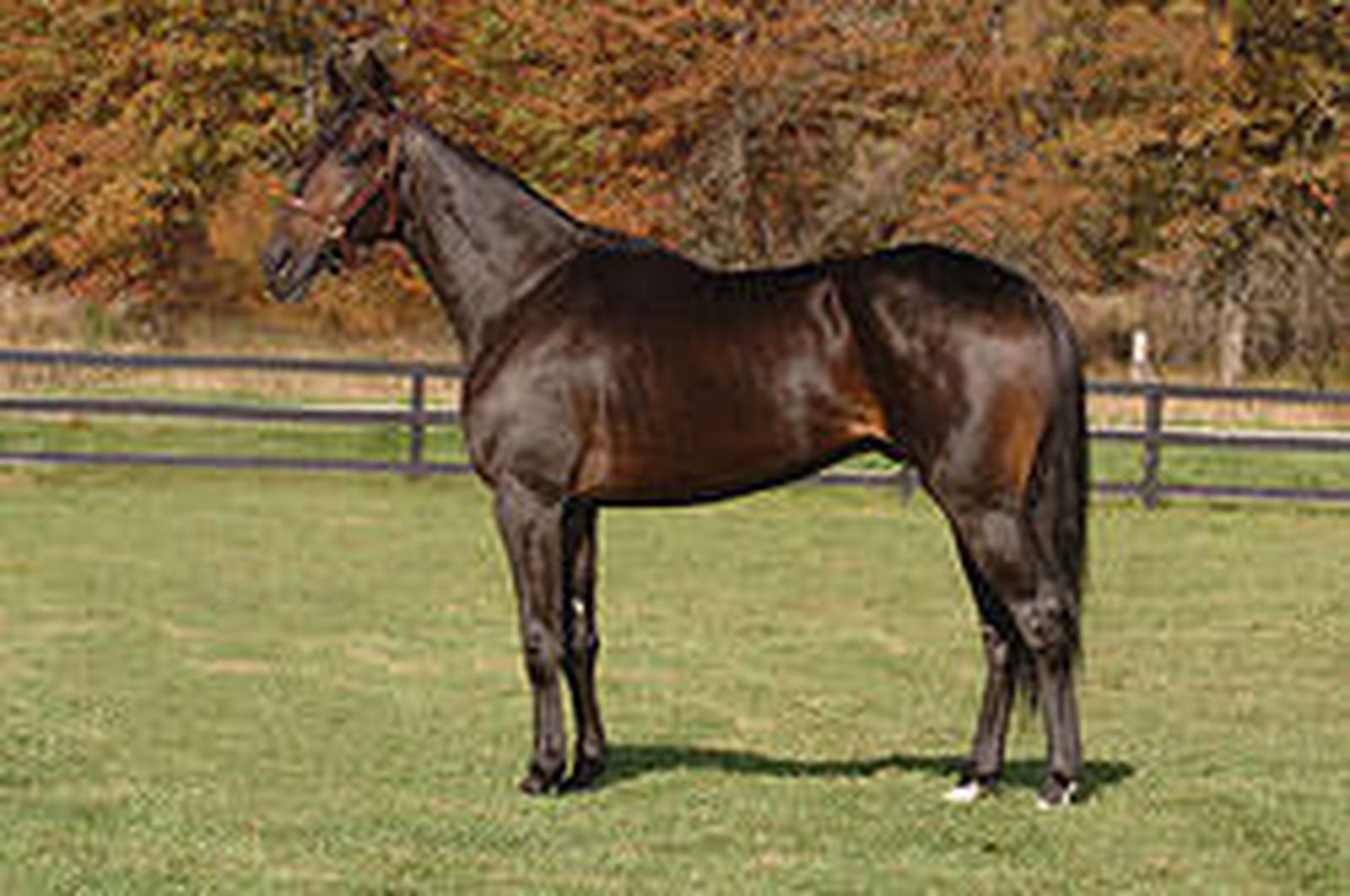 Make It Happen 2023 – Travera.nu