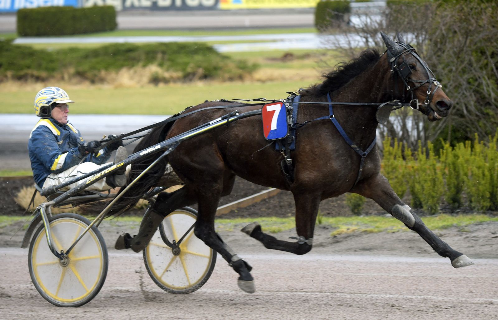 Mandatory – Travera.nu