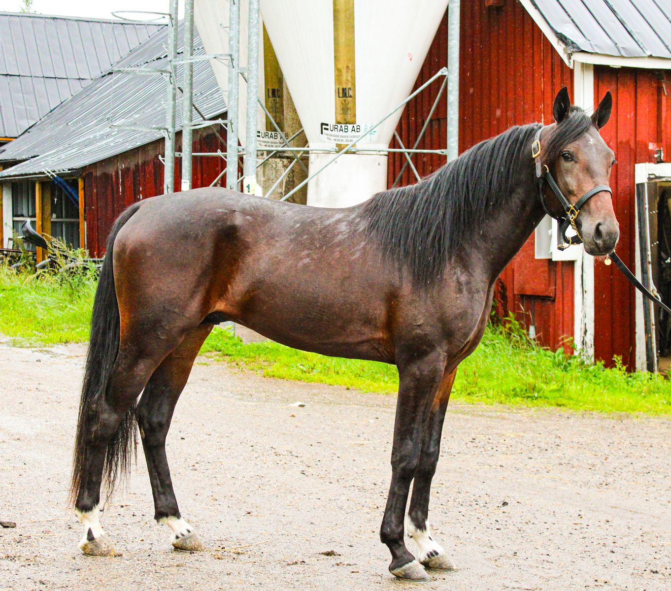 Mercury Blues – Travera.nu