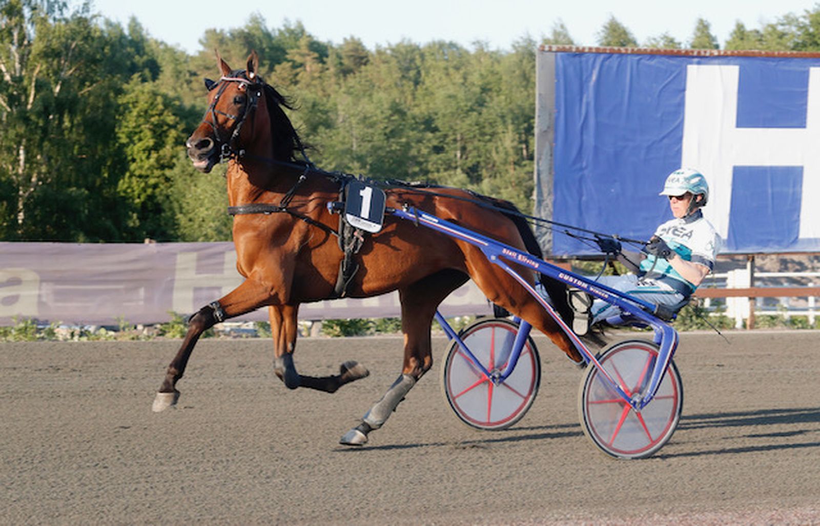 Nikita Boko – Travera.nu