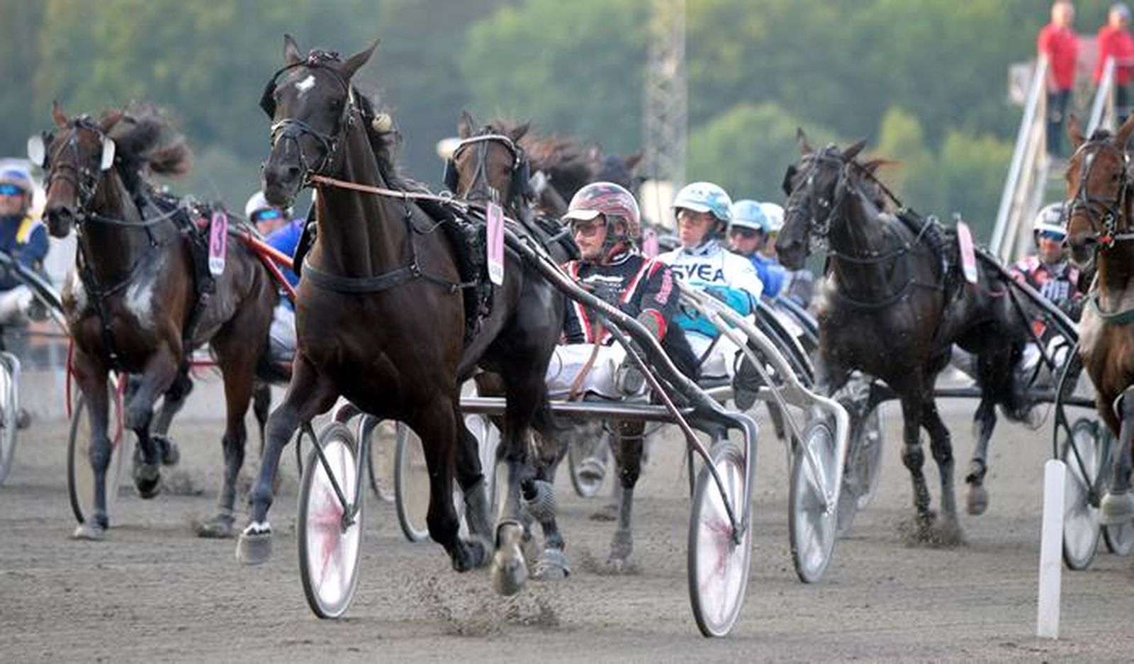 Nunja – Travera.nu