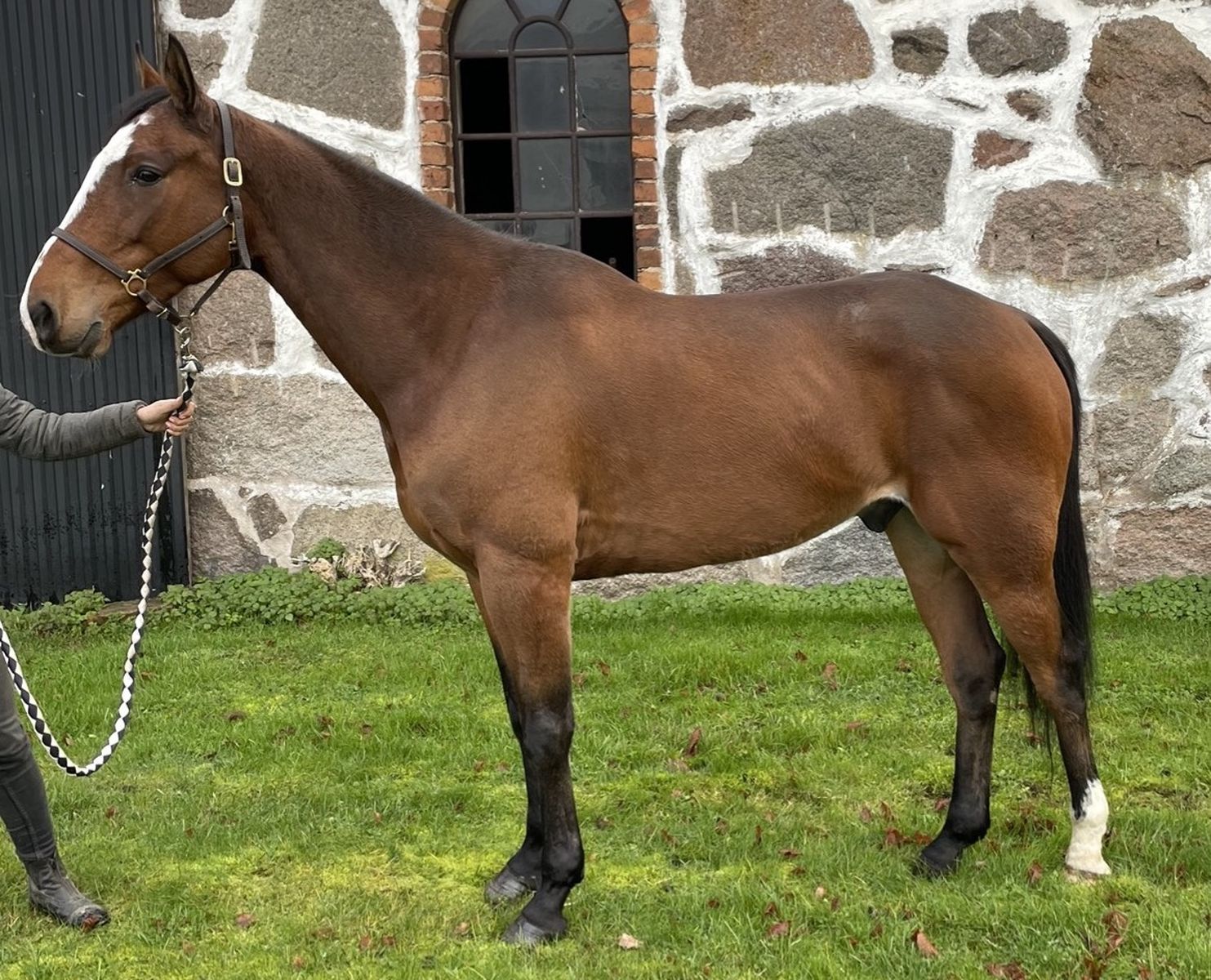 Oceans Sixx – Travera.nu