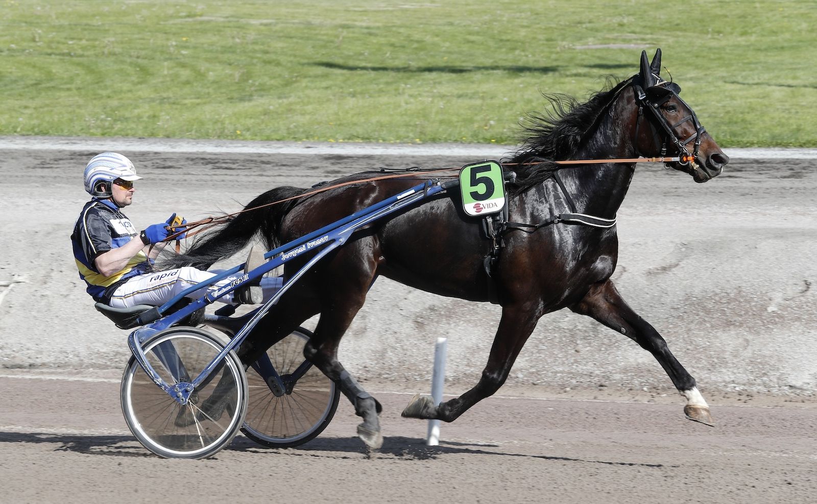 Oligark Tooma – Travera.nu