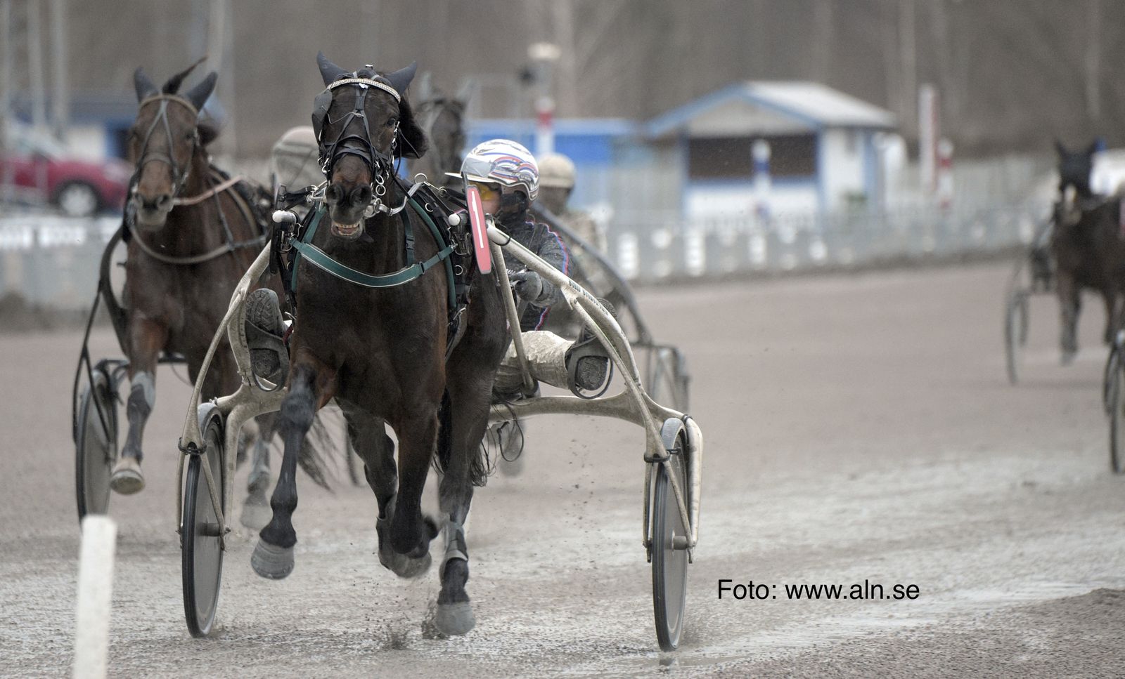 Opulence – Travera.nu