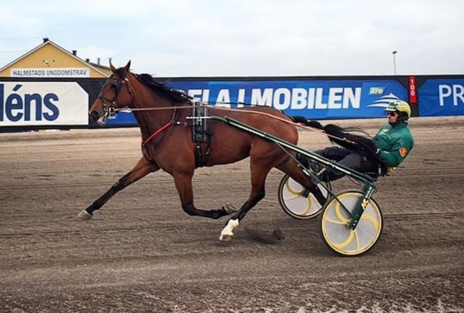 Pearl Face – Travera.nu