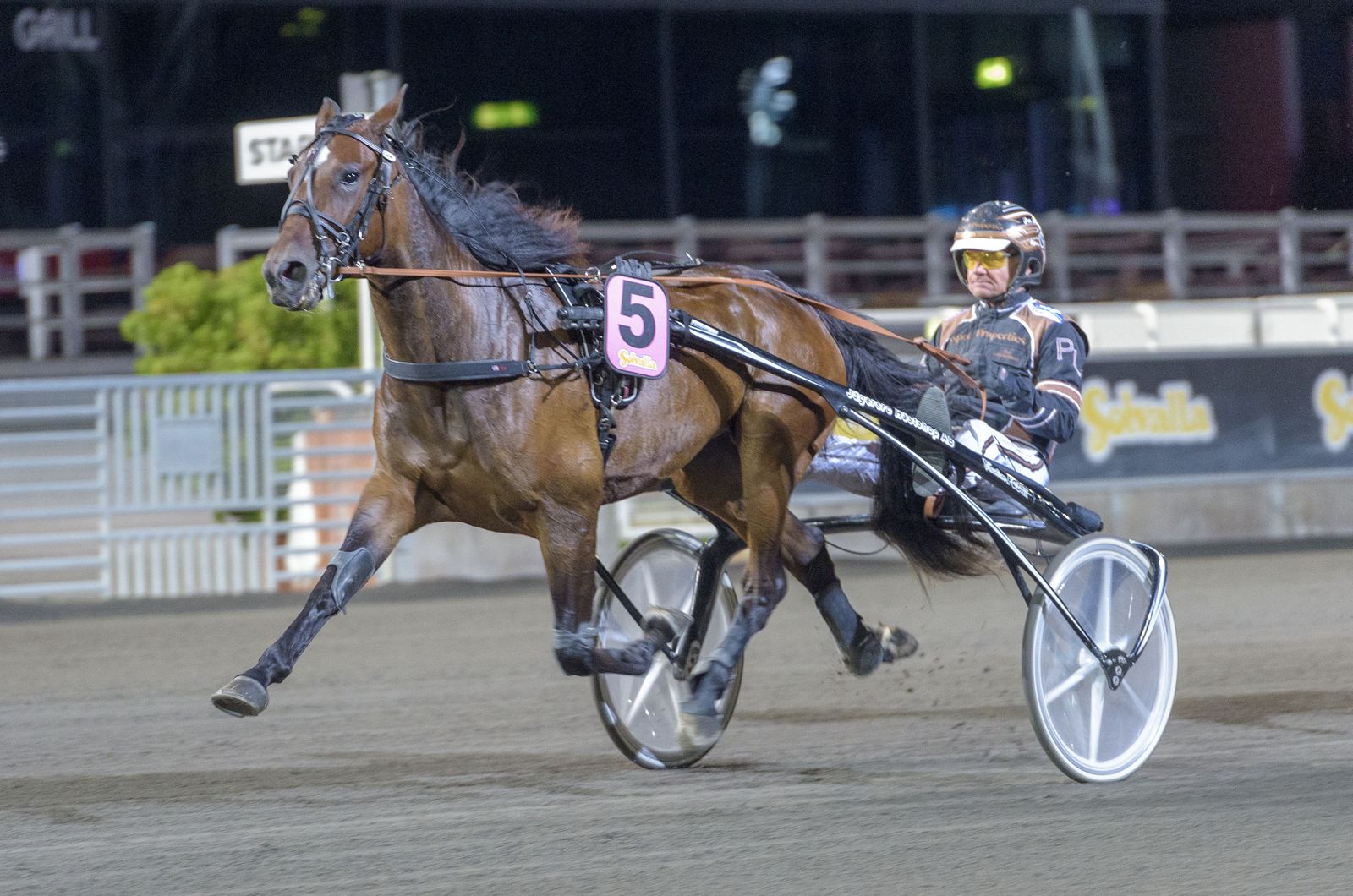 Phantasy Tile – SRF Stable 5 november – Partnerauktion – Travera.nu