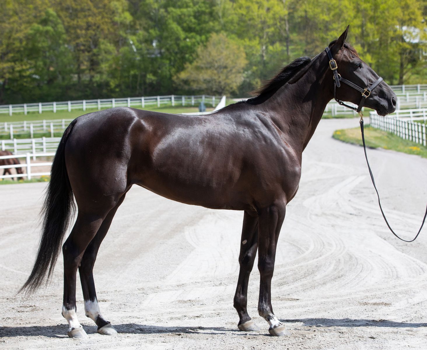 Power of Sand – Travera.nu