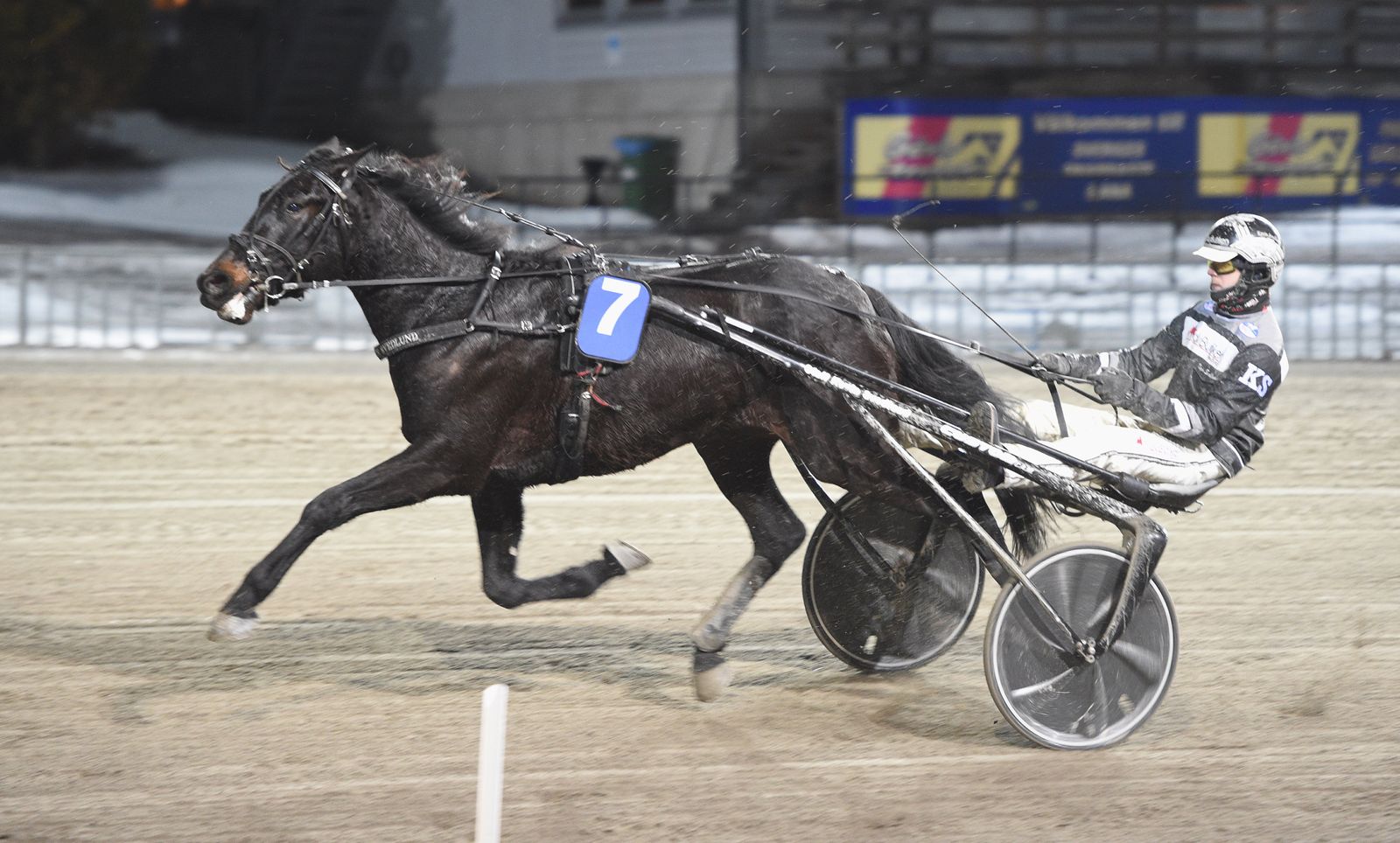 Reigo Tooma – Travera.nu