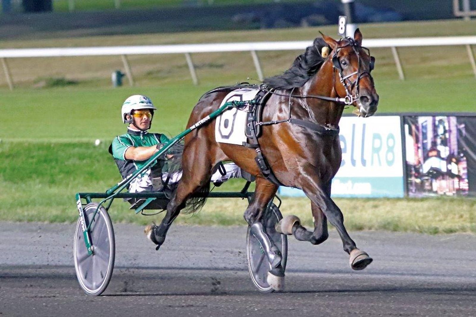 Six Pack bet. 2024 – Travera.nu