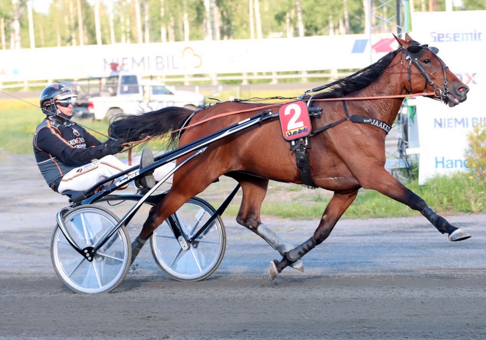 Solkattens Pearl – Travera.nu