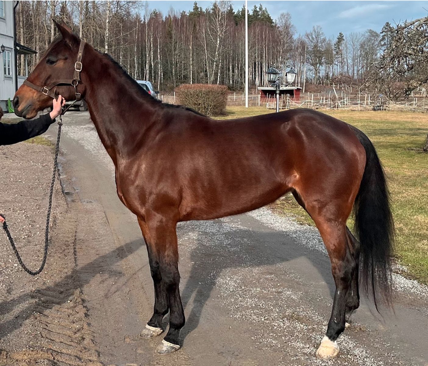 Raya Maya – Travera.nu