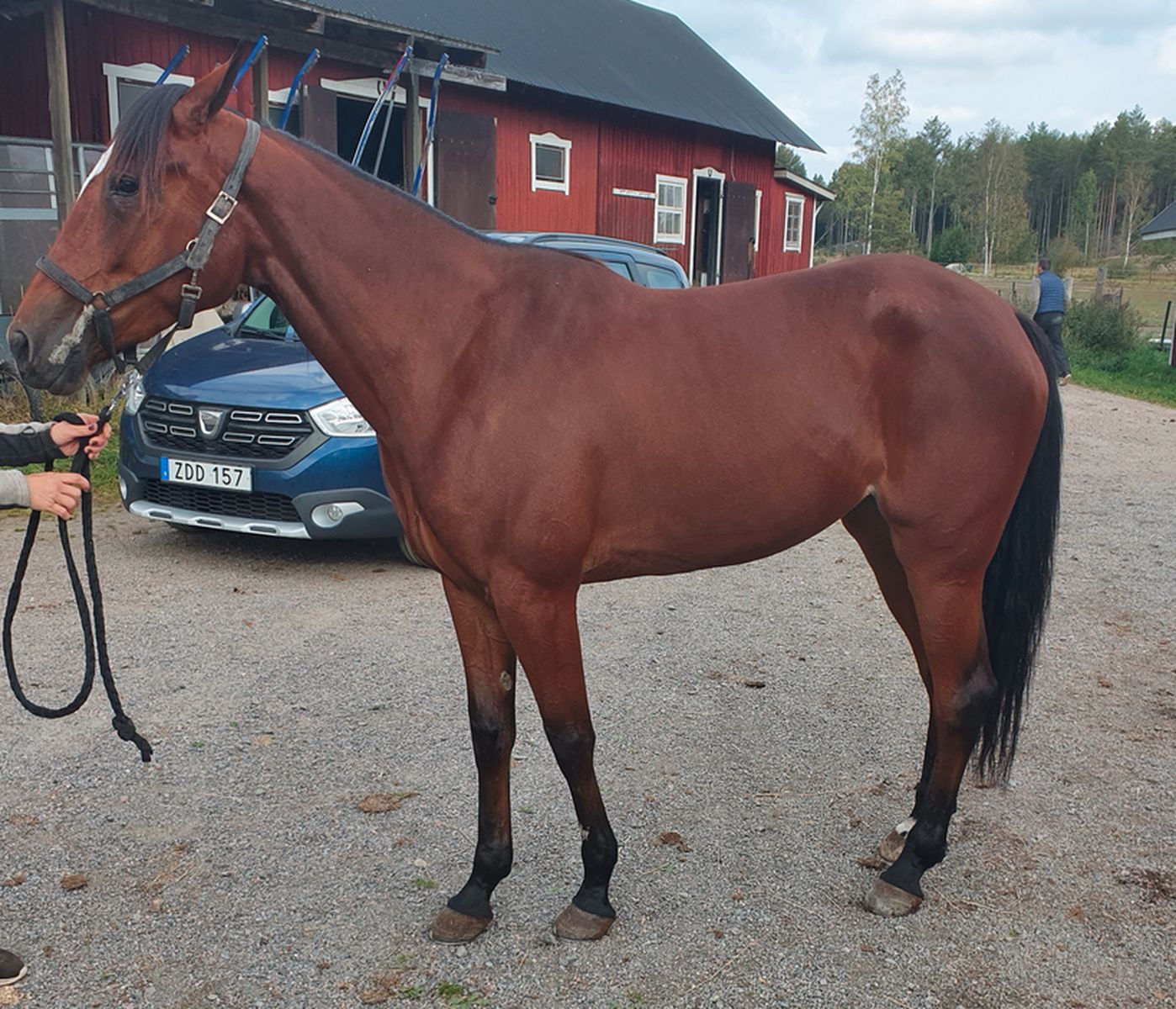 Arigato – Travera.nu