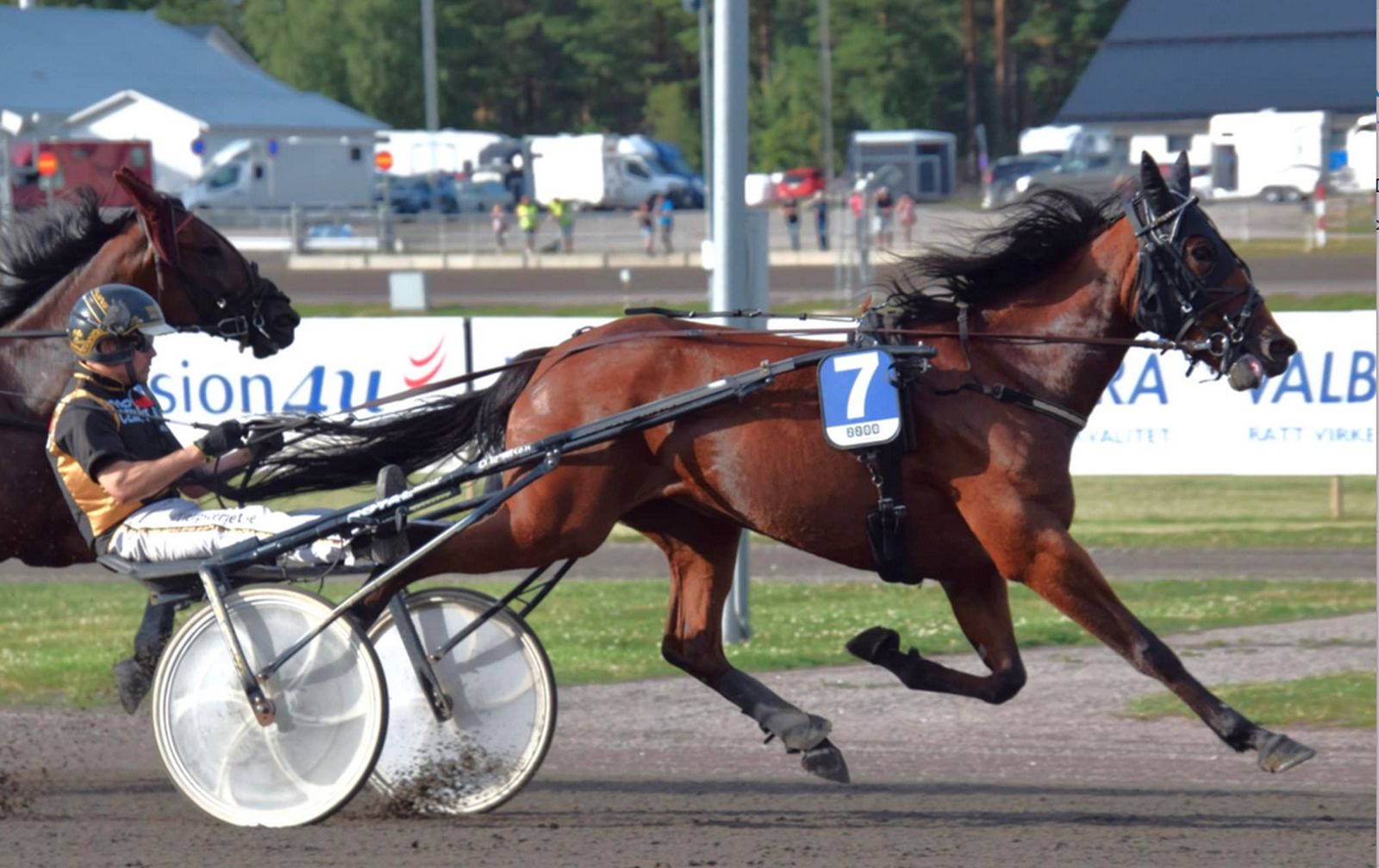 Natas F.Boko – Travera.nu