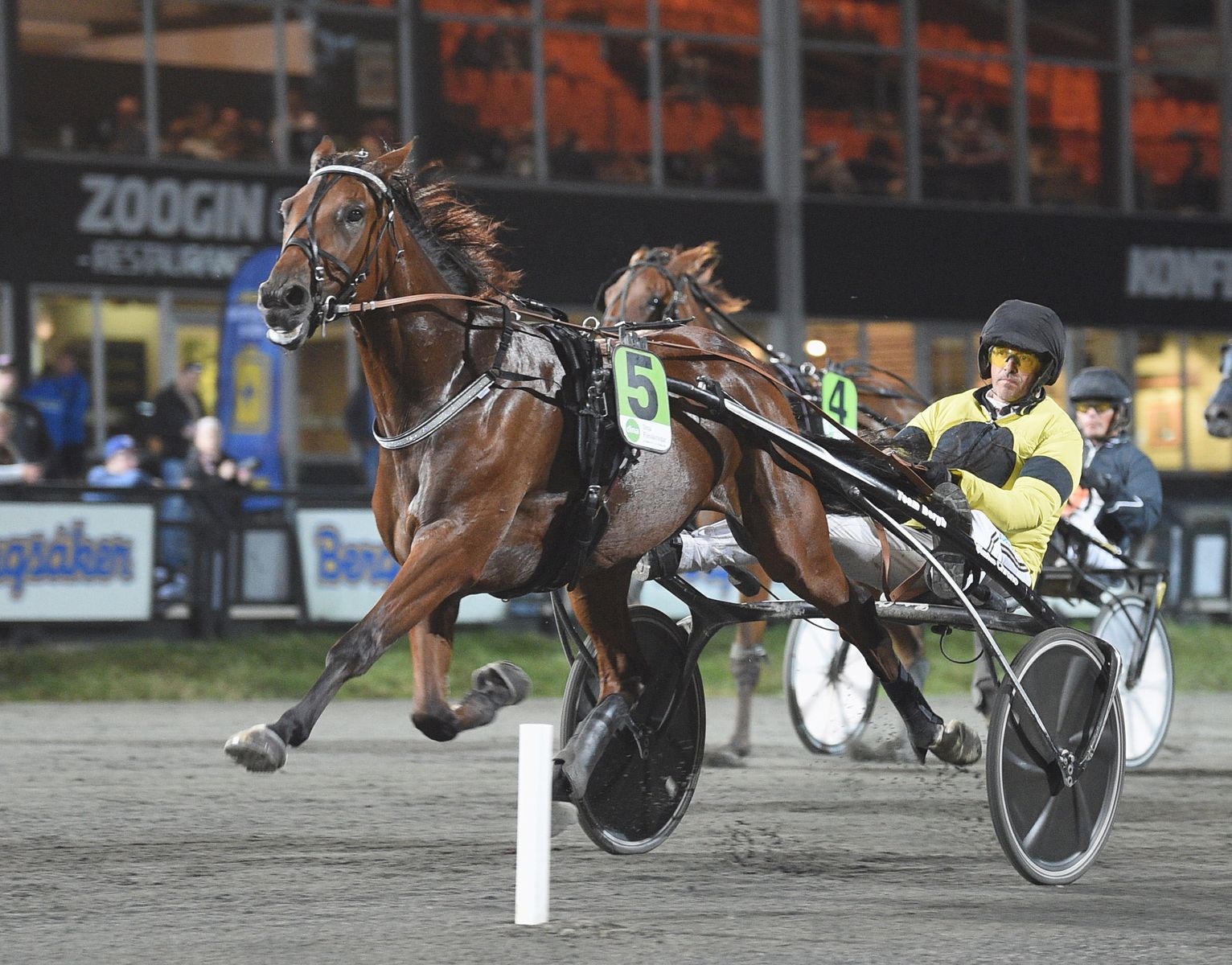 Timo Jutila – Travera.nu