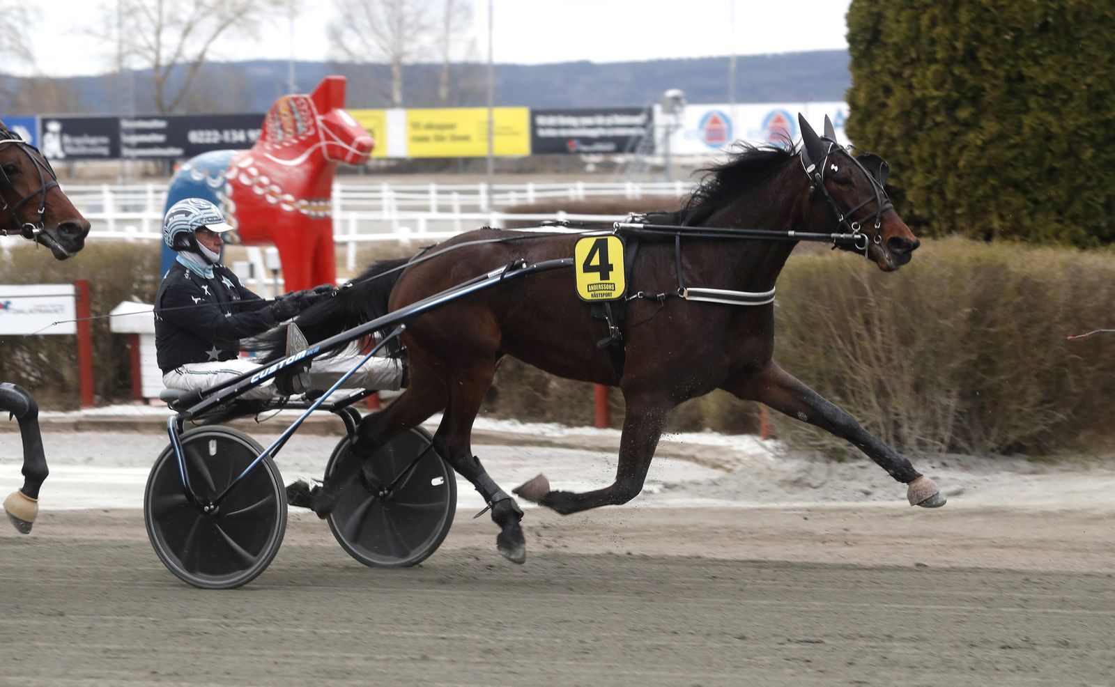 Untouchable Doc – Travera.nu