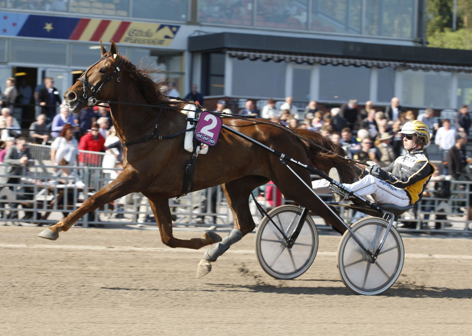 Vendome – Travera.nu