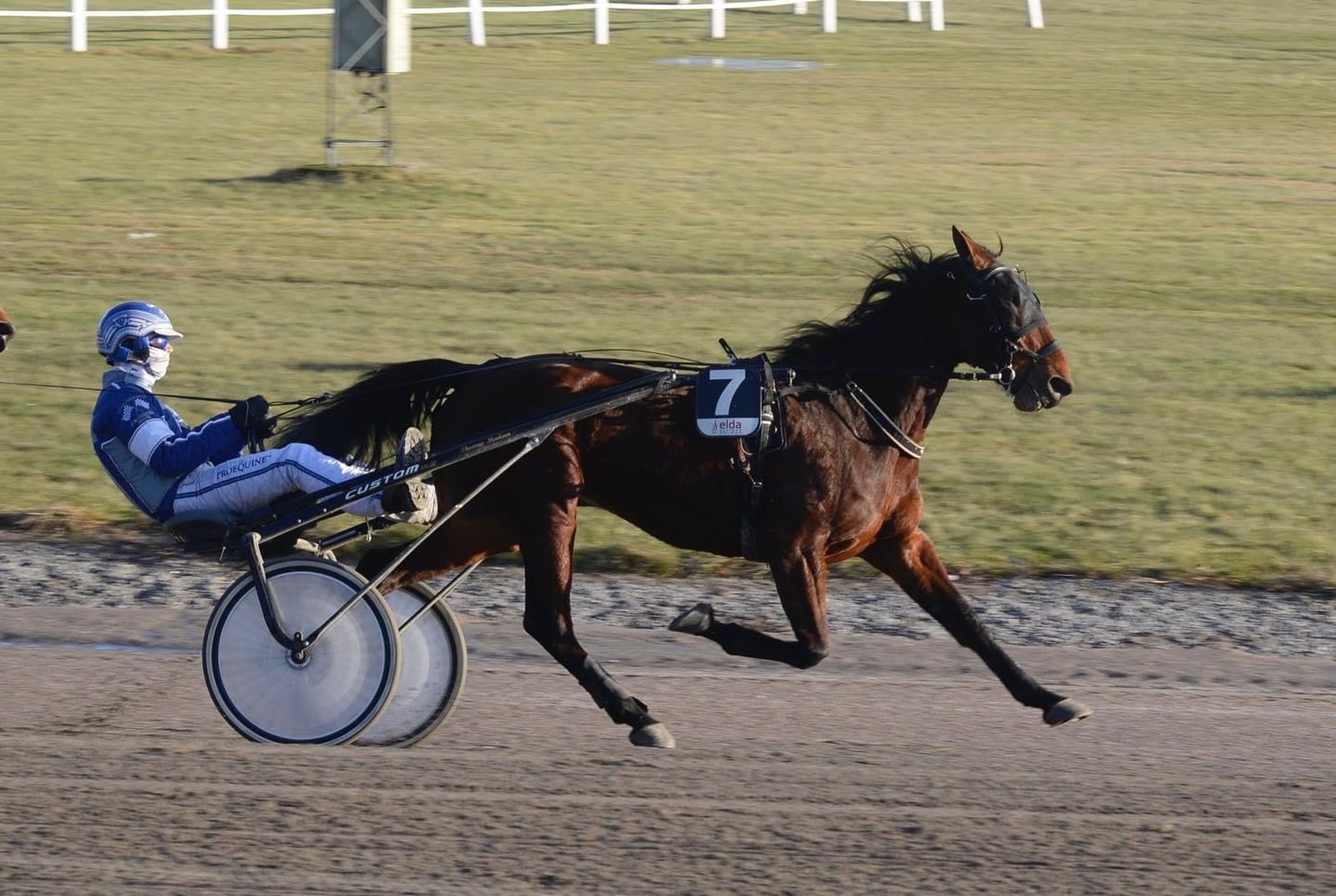 Zola Love – Travera.nu