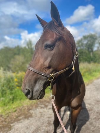 Andtheraceisover – Travera.nu