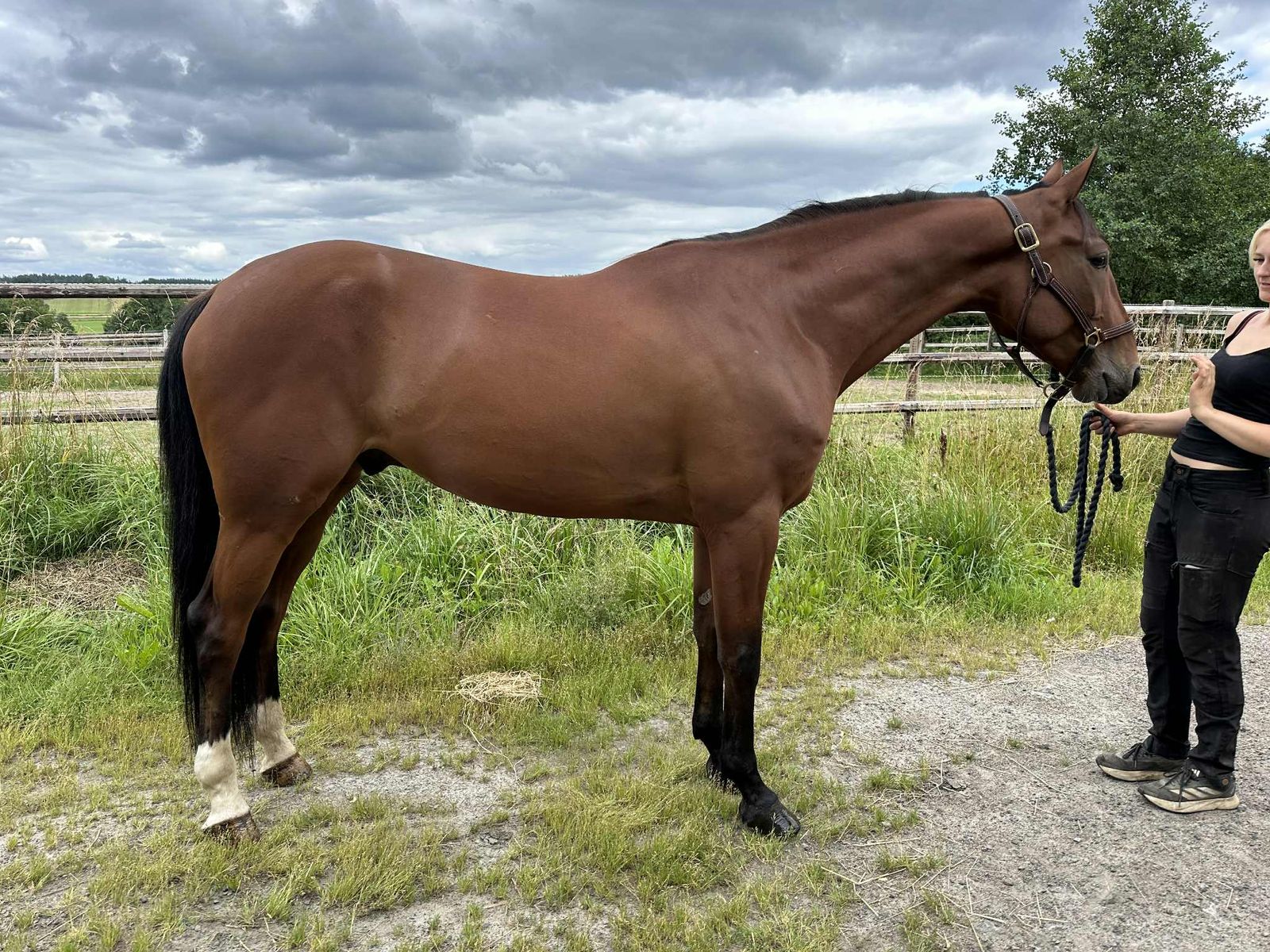 No Limit River – Travera.nu